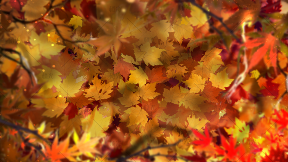 古风CG秋日详情 - 橙娘素材铺 - 橙光|66RPG